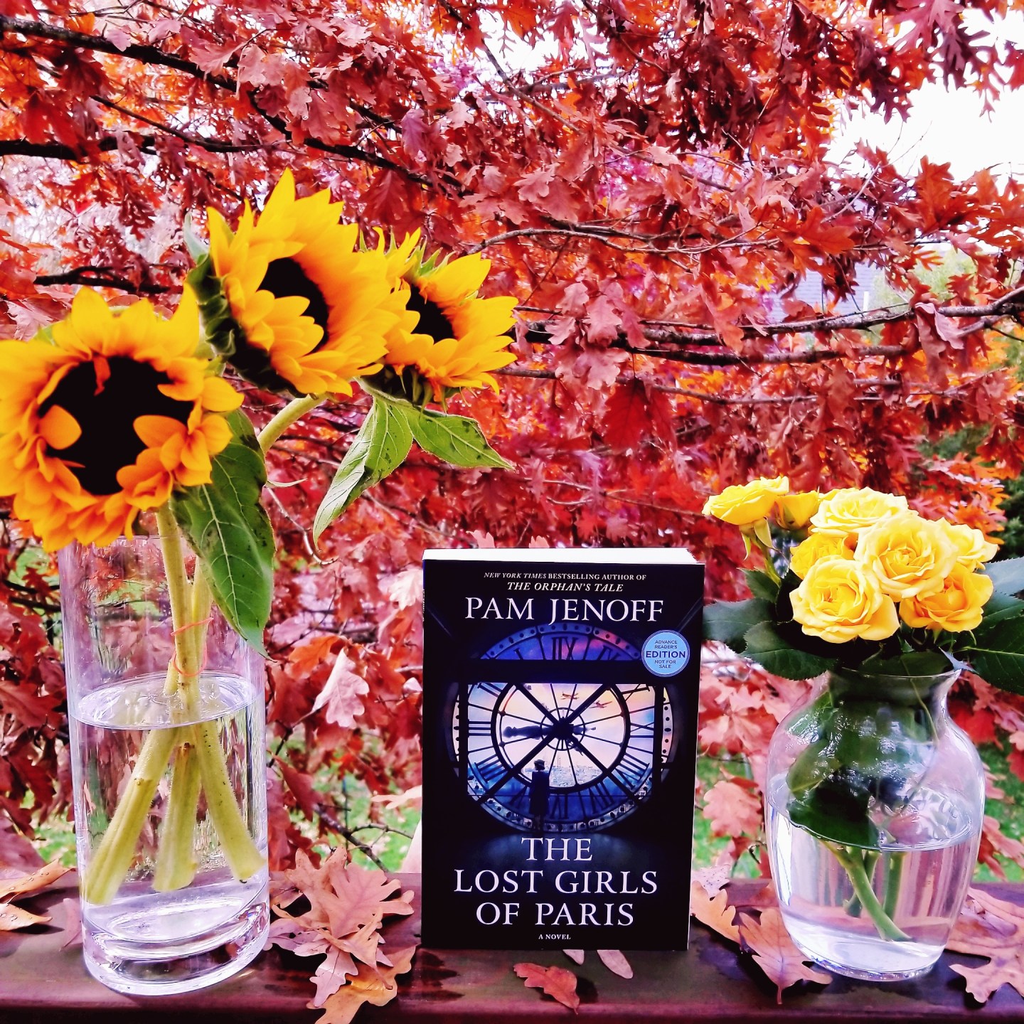 The Lost Girls of Paris by Pam Jenoff #bookreview #tarheelreader # ...